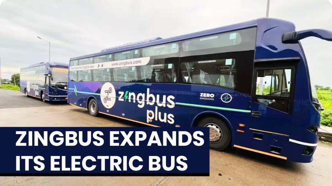 Zingbus Expands Its Electric Bus Fleet Through a New Operator ...